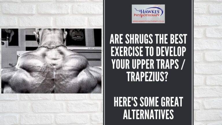 Are shrugs the best exercise to develop your Upper Traps / Trapezius ...