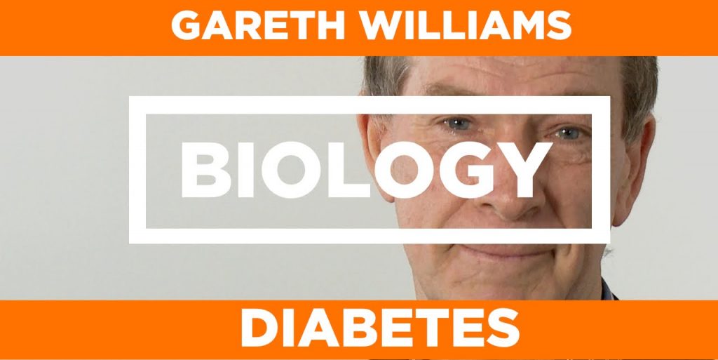 BIOLOGY – Gareth Williams – Diabetes – Video