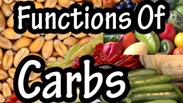 Functions Of Carbohydrates – What Do Carbohydrates Do In The Body ...