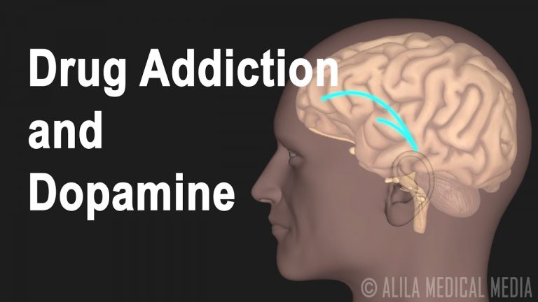 Mechanism of Drug Addiction in the Brain, Animation. – Video