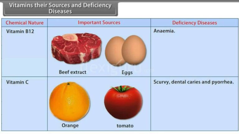 Vitamins their Sources and Deficiency Diseases – Video