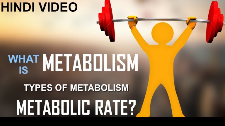 What is Metabolism, Types Of Metabolism and Metabolic Rate In Hindi – Video