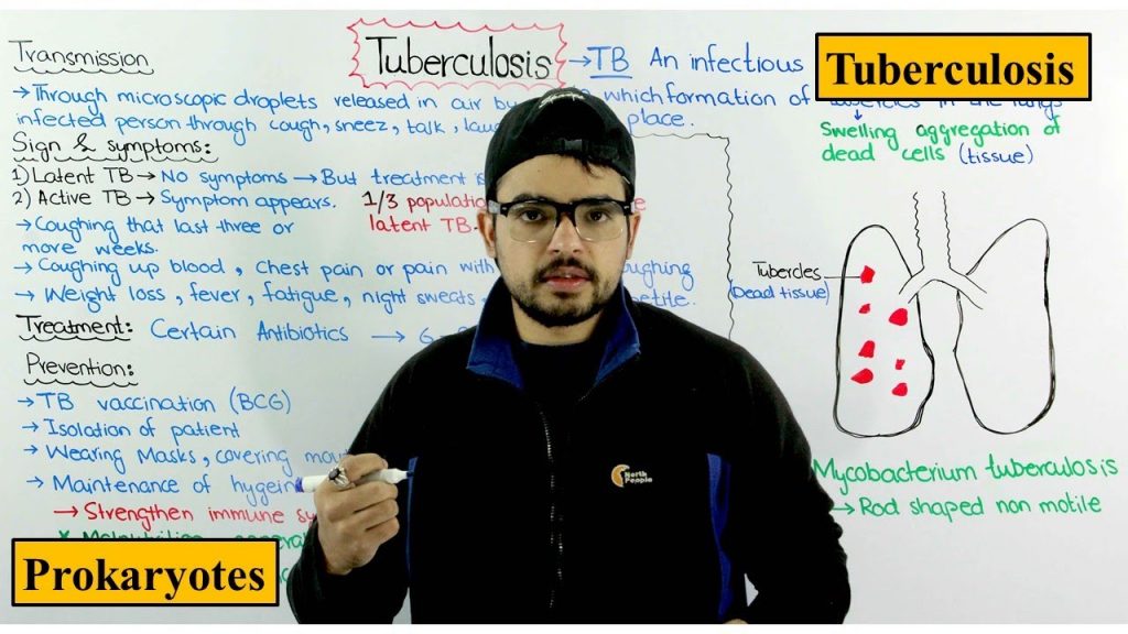 Tuberculosis (TB) | Causes, Treatment, Prevention and Transmission ...